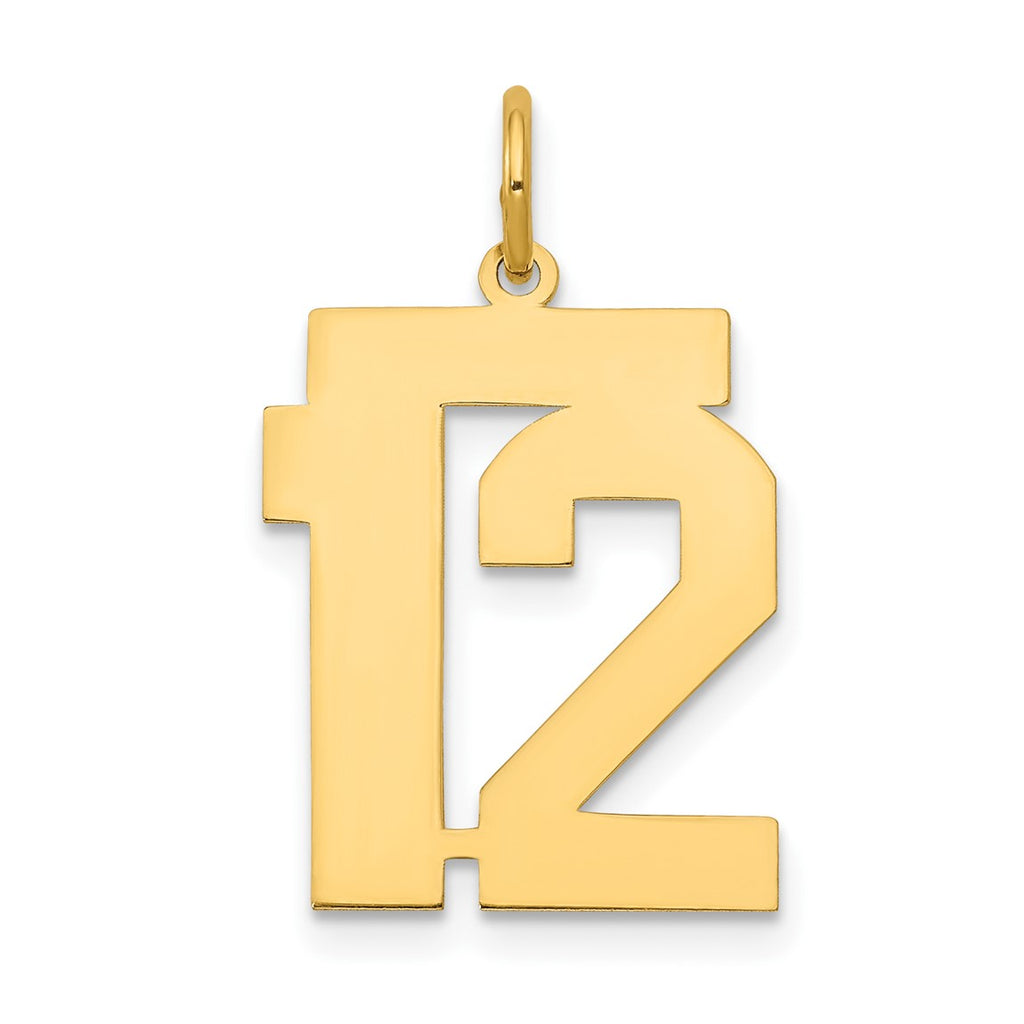 14k Yellow Gold Medium Polished Number 12 Charm LM12 – Wellness ...